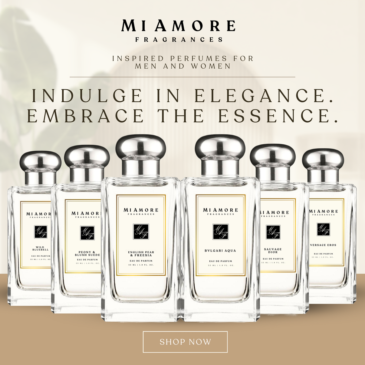 MIAMORE PERFUME FOR MEN and WOMEN | EAU DE PARFUM PREMIUM QUALITY OIL ...